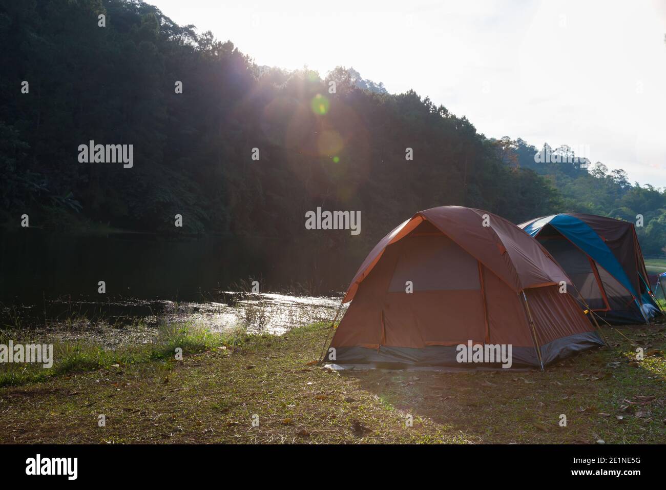 Camping tent on green grass field under trees Stock Photo - Alamy