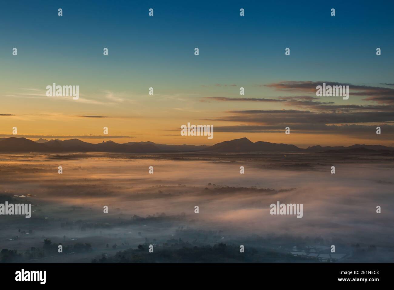 Plant timing hi-res stock photography and images - Alamy