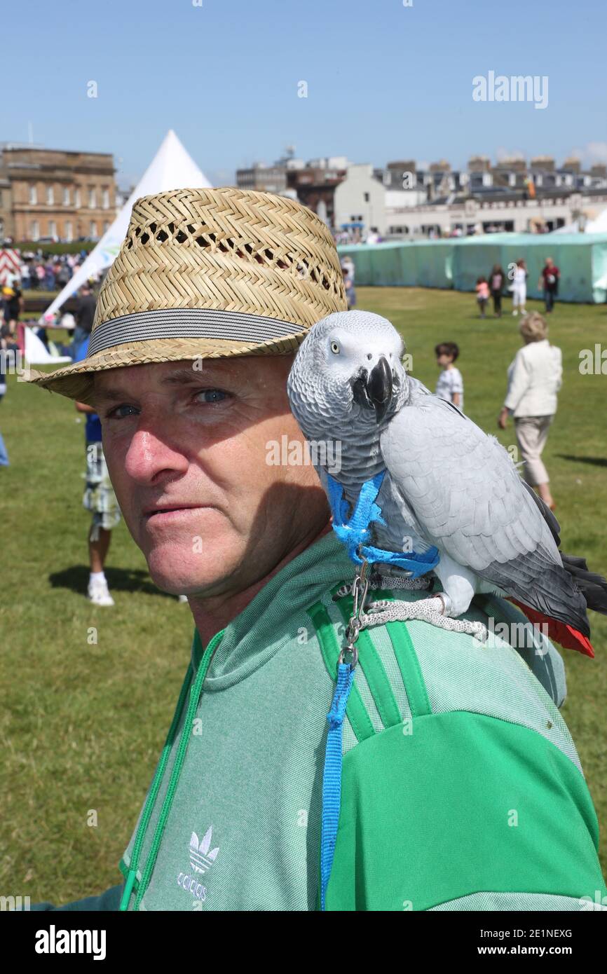 The holy family with the parrot hi-res stock photography and images - Alamy