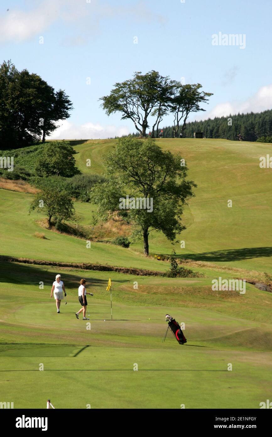 Female goldfer hi-res stock photography and images - Alamy