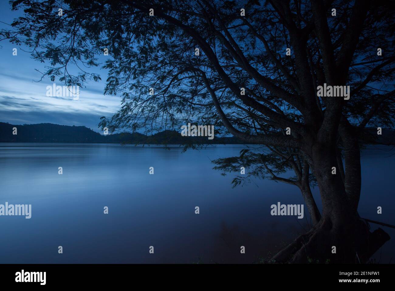 River reflection with tree at night time Stock Photo - Alamy