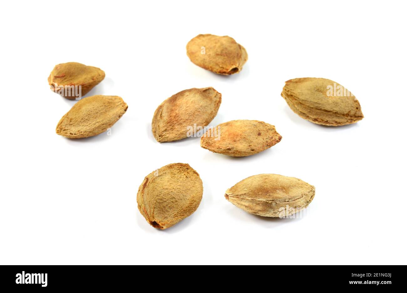Dry apricot nut on white background Stock Photo - Alamy
