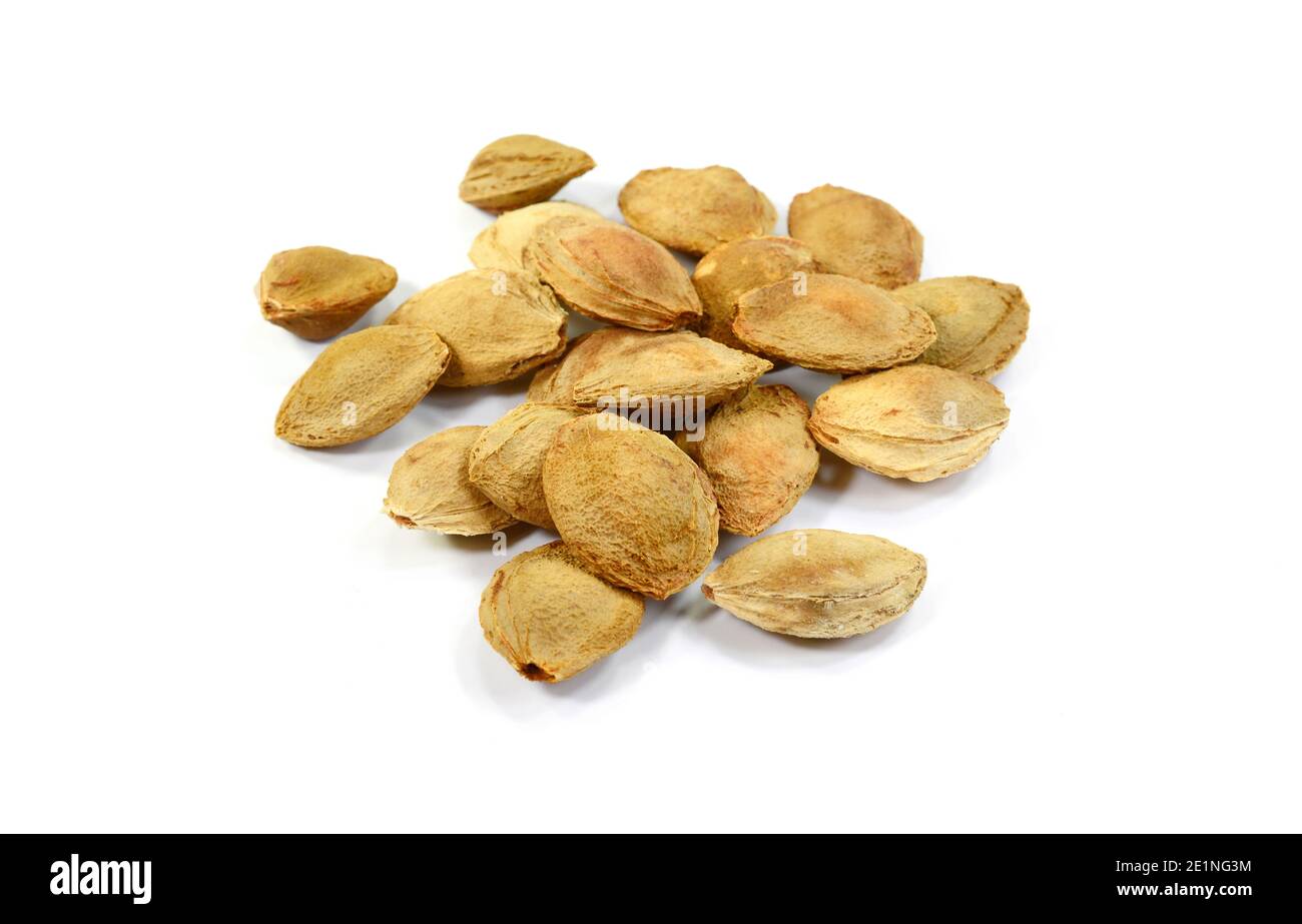 Dry apricot nut on white background Stock Photo - Alamy