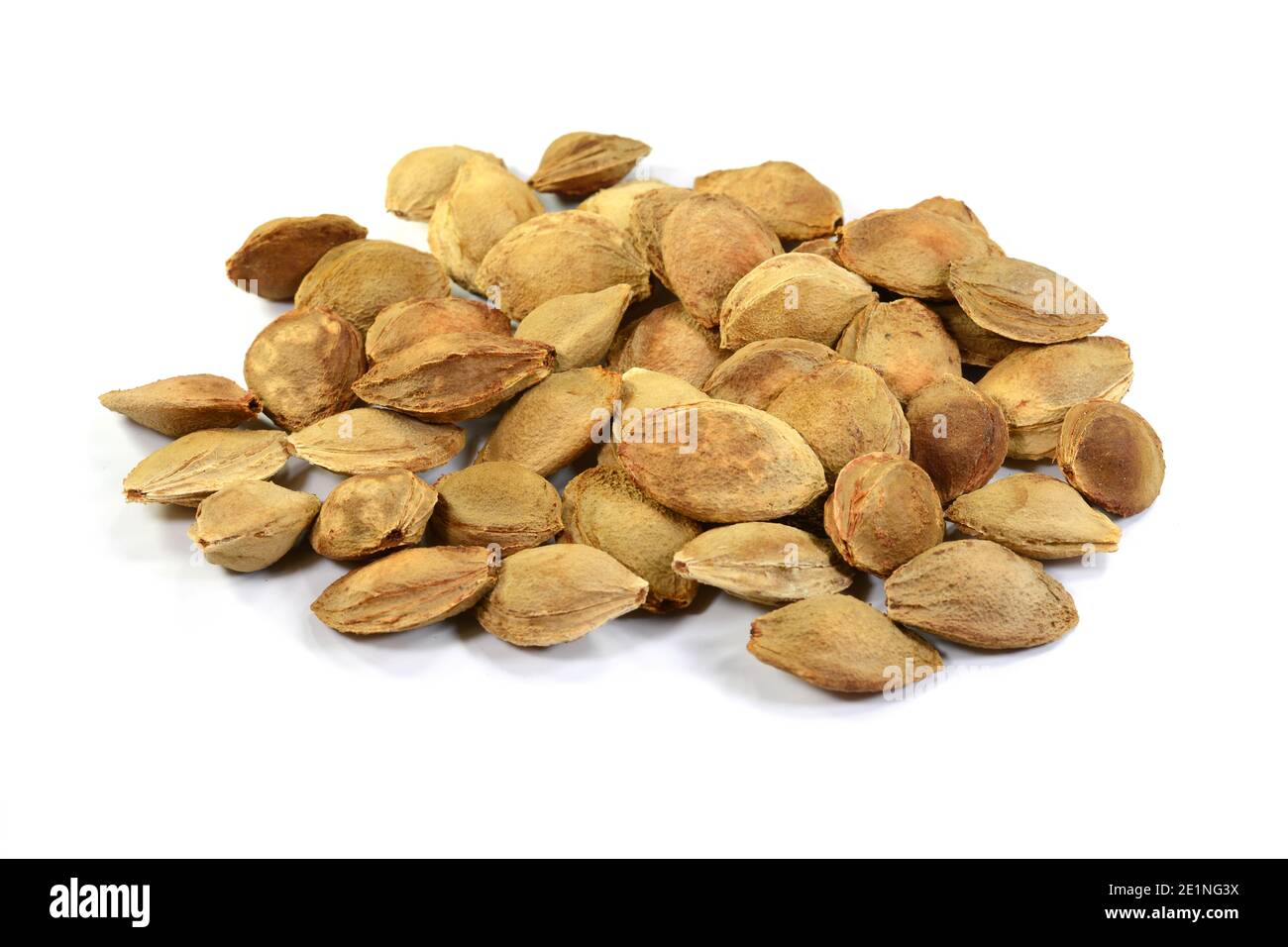 Dry apricot nut on white background Stock Photo - Alamy