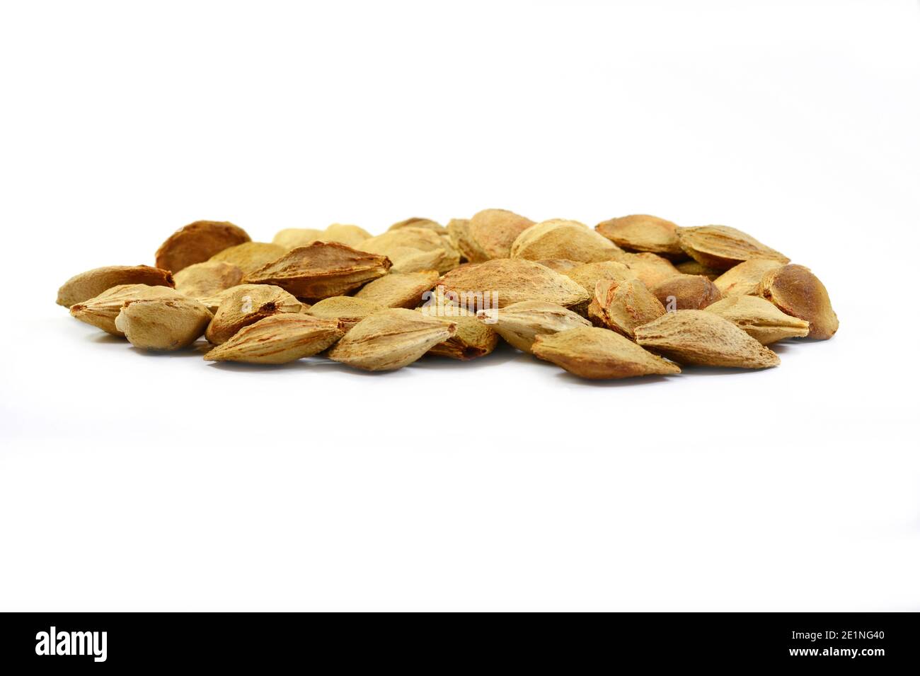 Dry apricot nut on white background Stock Photo - Alamy
