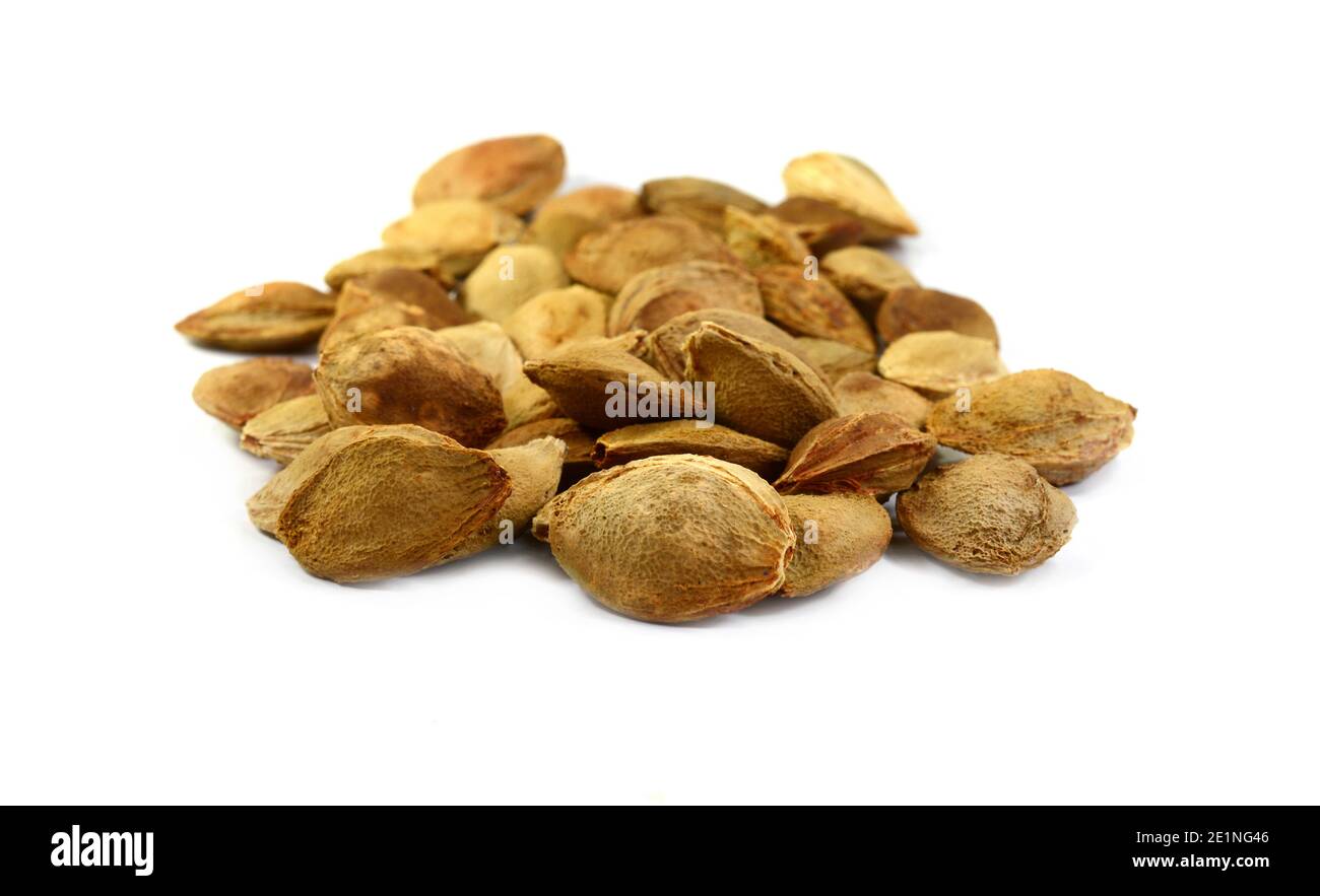 Dry apricot nut on white background Stock Photo - Alamy