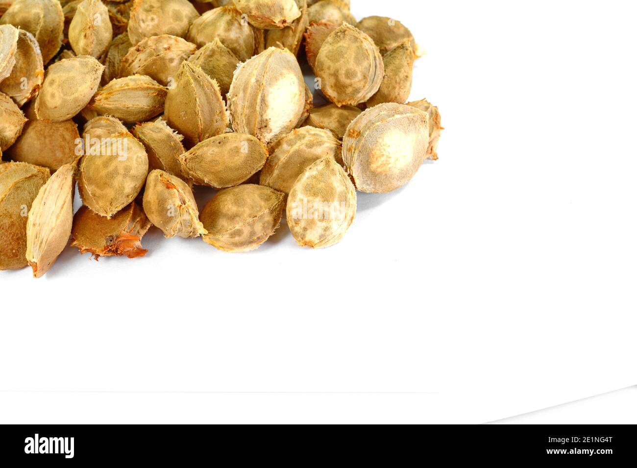 Dry apricot nut on white background Stock Photo - Alamy