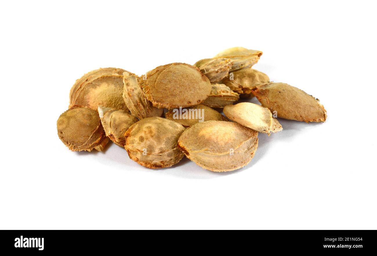 Dry apricot nut on white background Stock Photo - Alamy