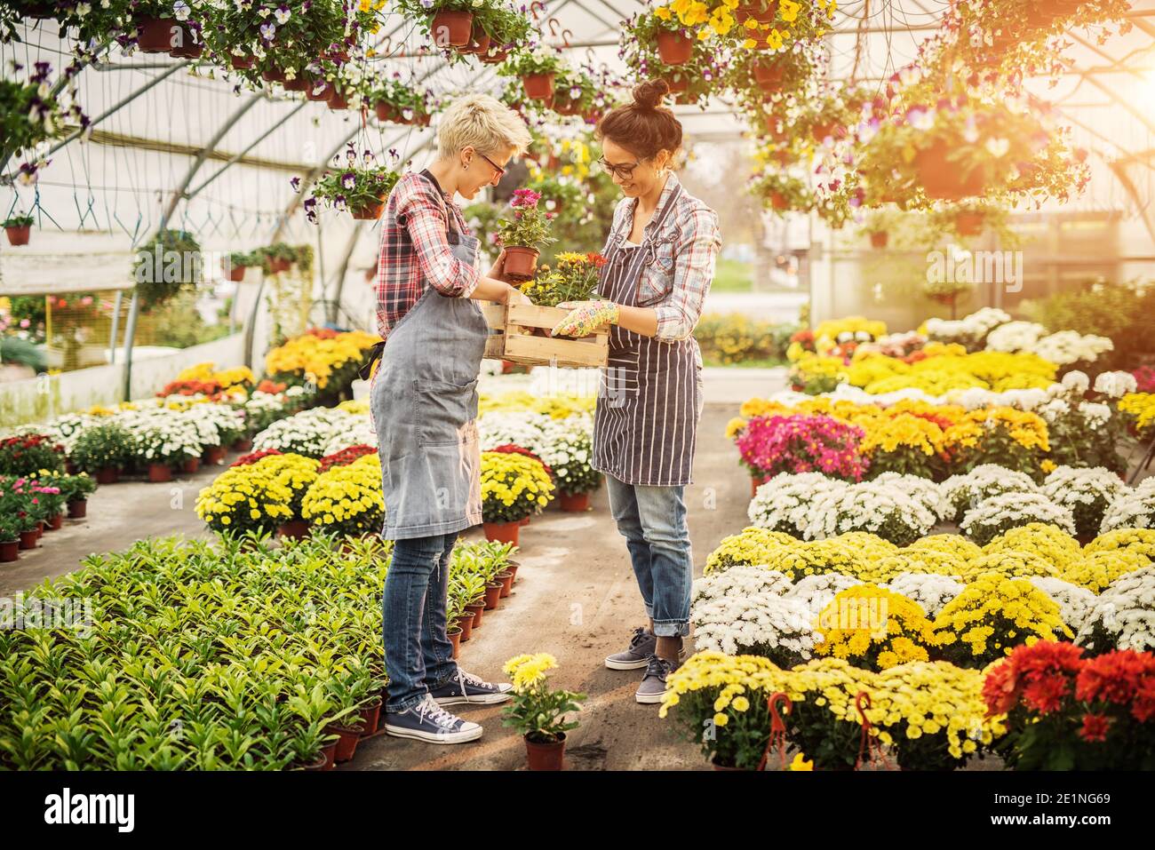 The gardeners assistant hi-res stock photography and images - Alamy