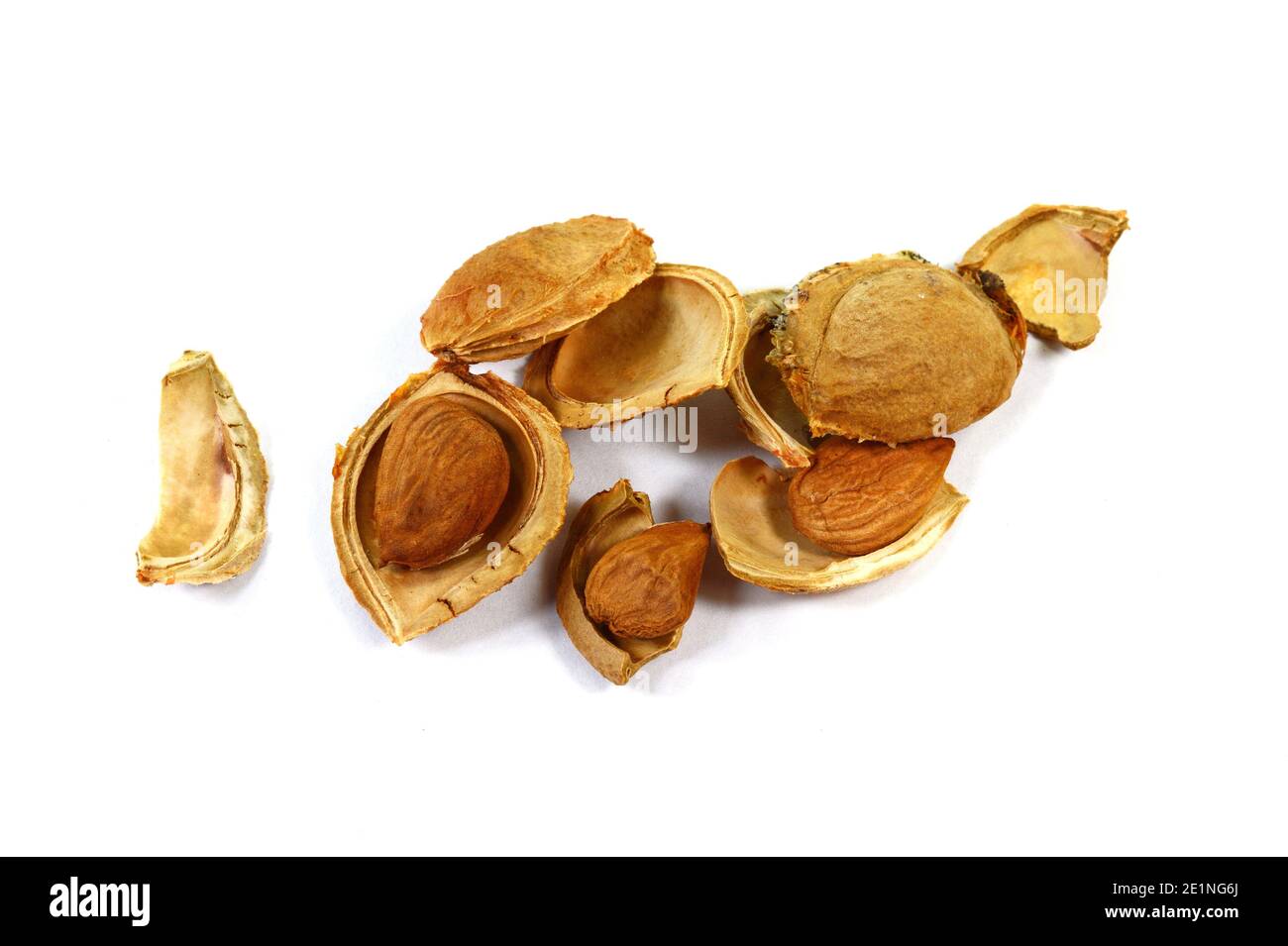 Dry apricot nut on white background Stock Photo - Alamy