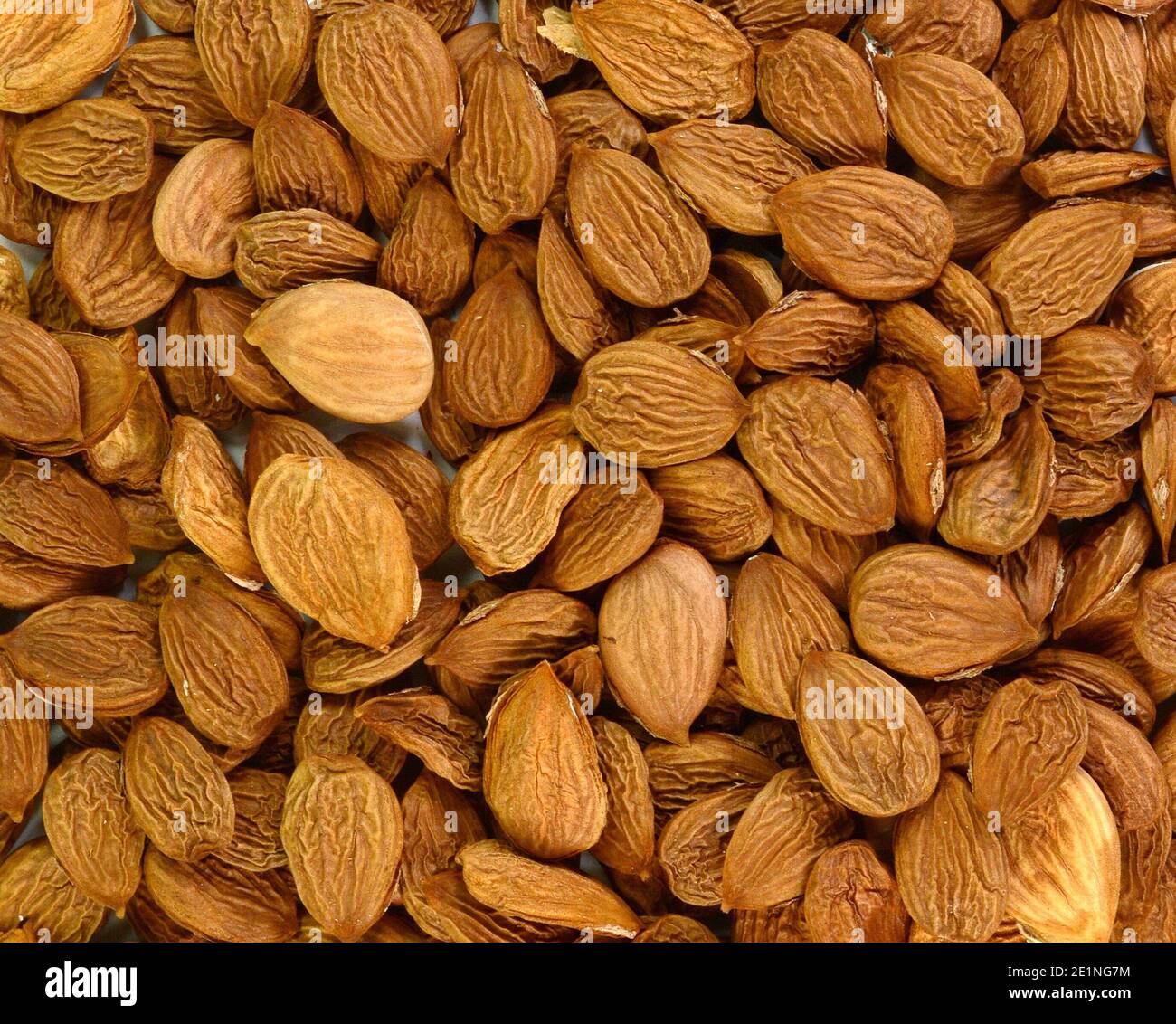 Dry apricot nut on white background Stock Photo - Alamy
