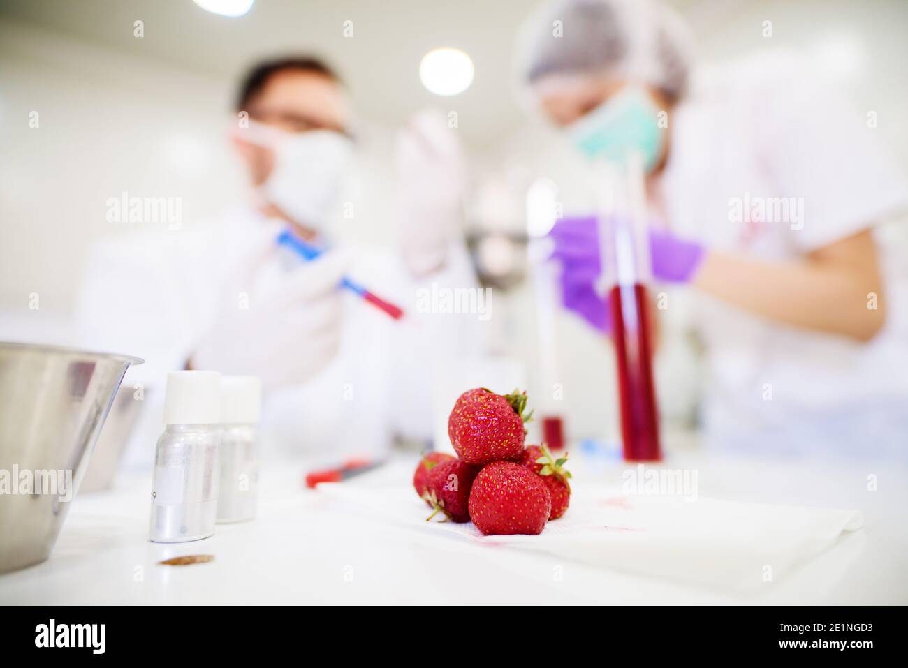 Focused strawberries used in a scientific experiment i laboratory Stock ...