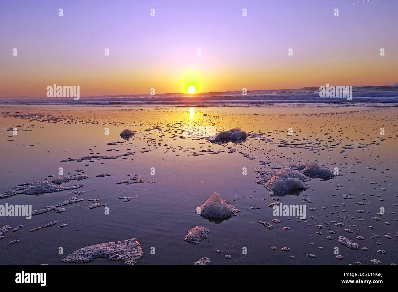 Foam on the beach at sunset Stock Photo - Alamy