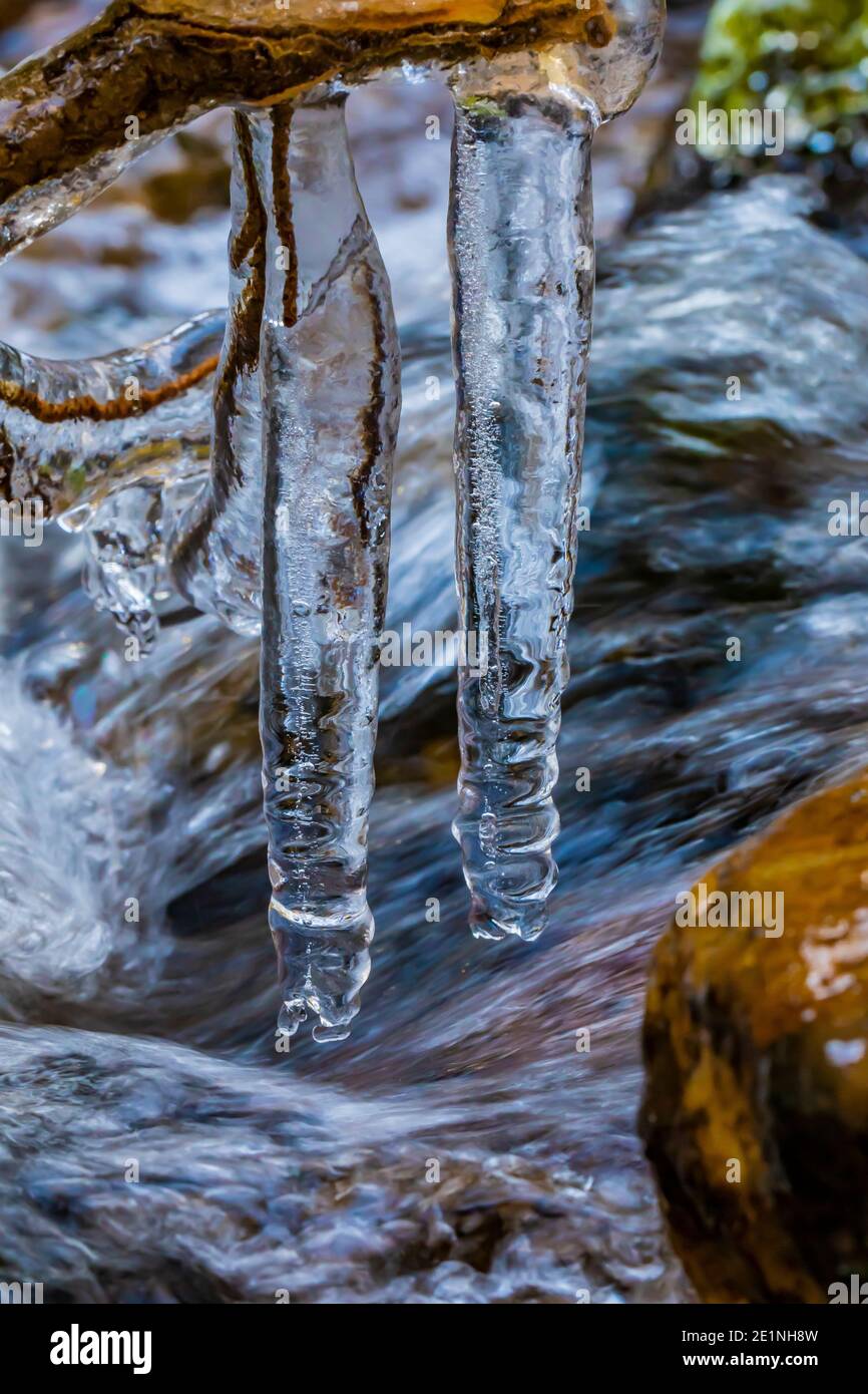Icicles forming along Baker Creek in October in Great Basin National ...