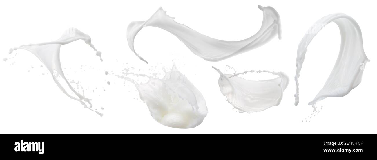 collection of white paint splashes isolated on a white background Stock ...