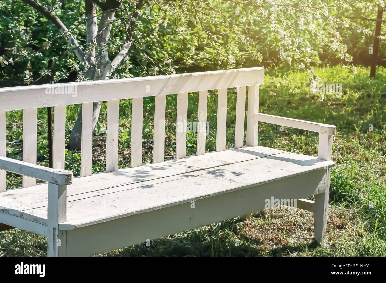 White wooden bench in the garden in summer. Selective focus Stock Photo ...