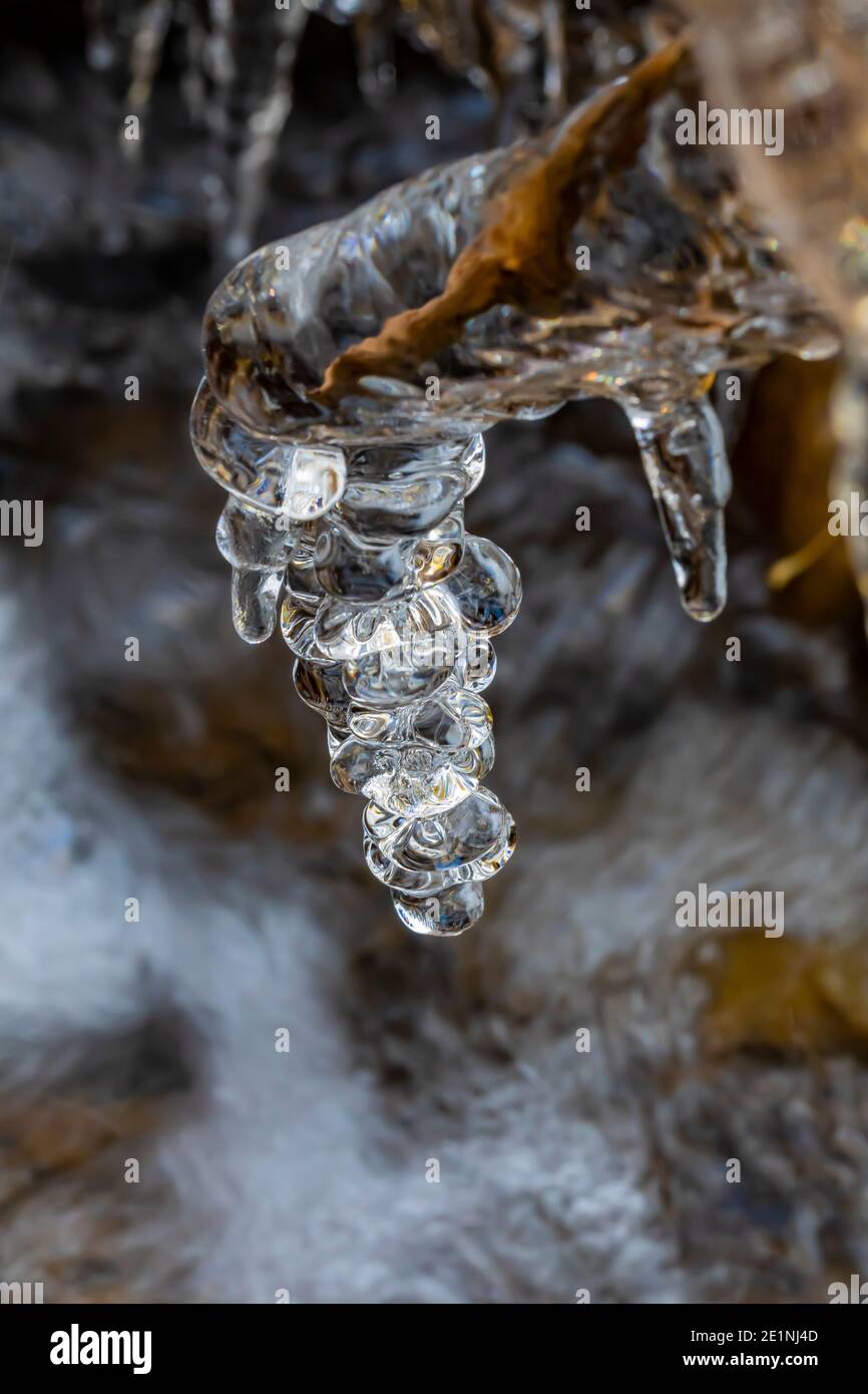 Icicles forming along Baker Creek in October in Great Basin National ...