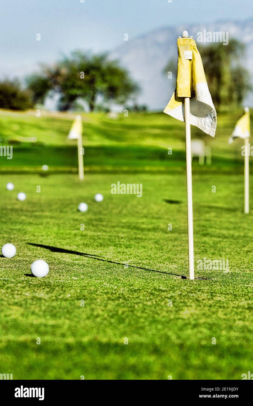 Golf ball on practice putting green Stock Photo - Alamy