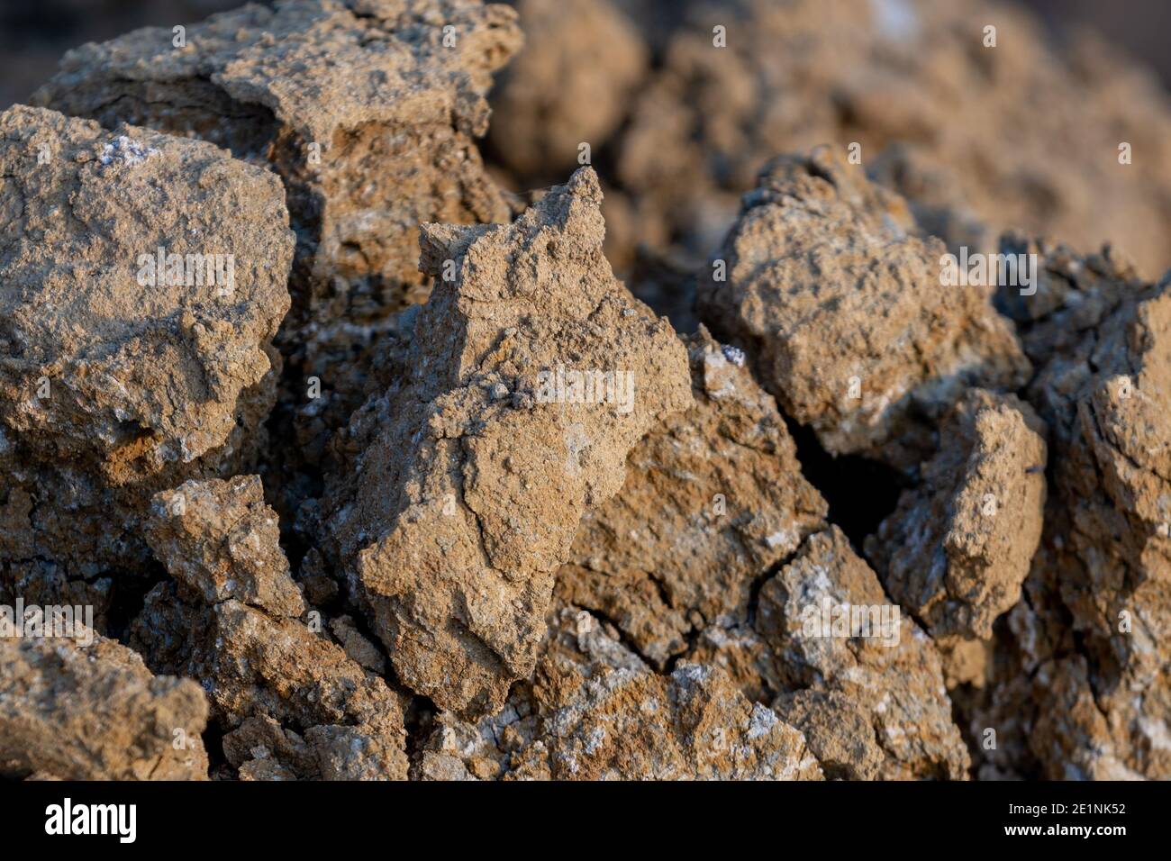 Close up soil texture background, Organic gardening, agriculture Stock ...