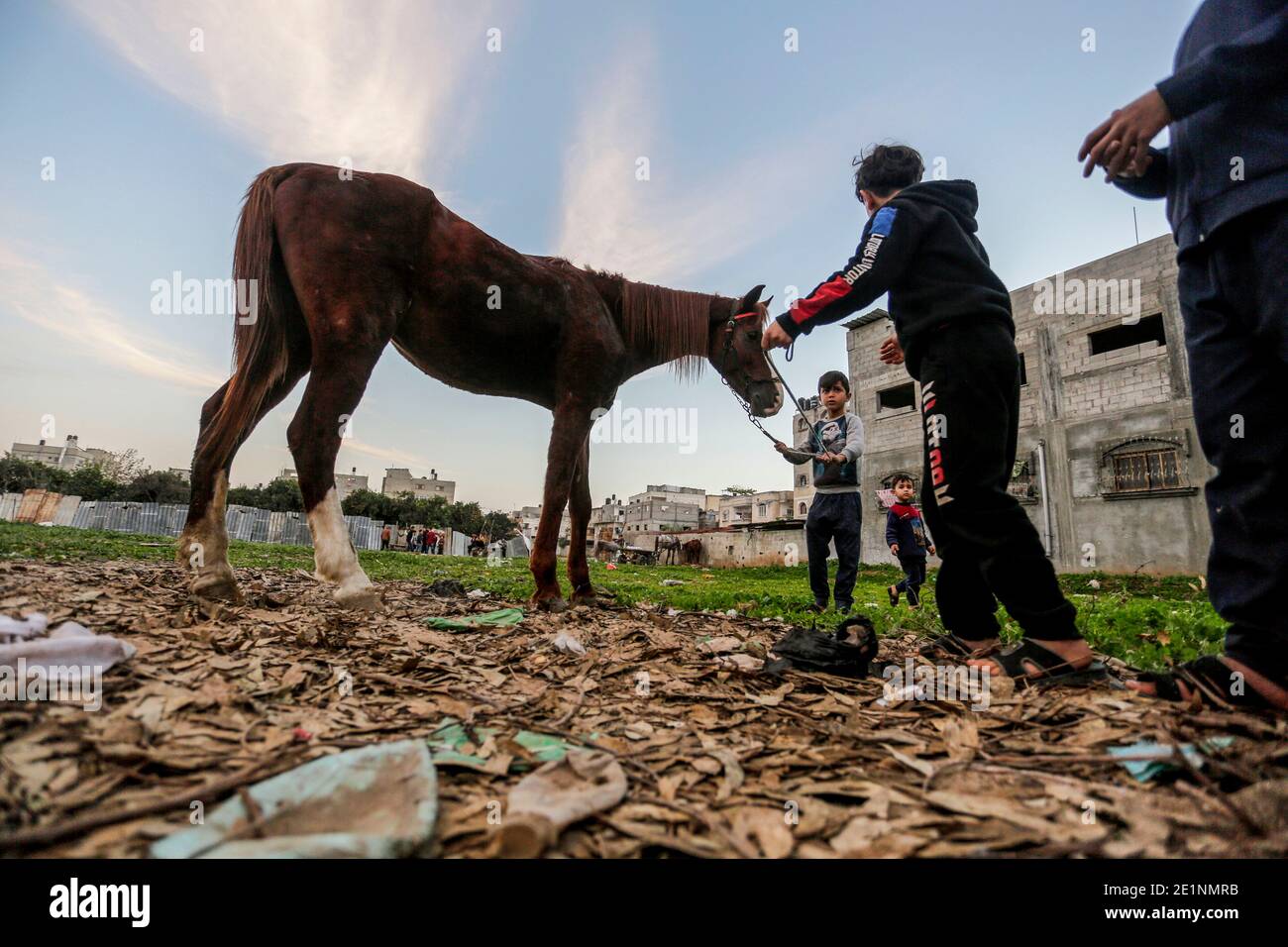Gaza City, The Gaza Strip, Palestine. 8th Jan, 2021. Palestinian ...