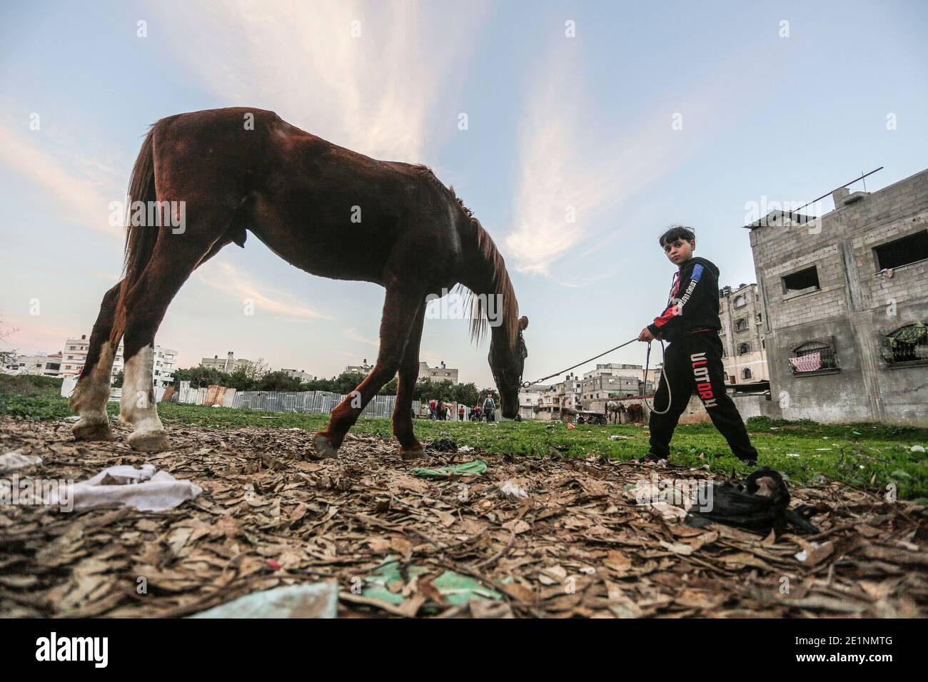 Gaza City, The Gaza Strip, Palestine. 8th Jan, 2021. A Palestinian ...
