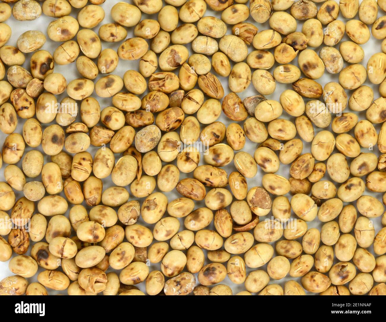Roasted soybeans (soy nuts) isolated on white background Stock Photo ...