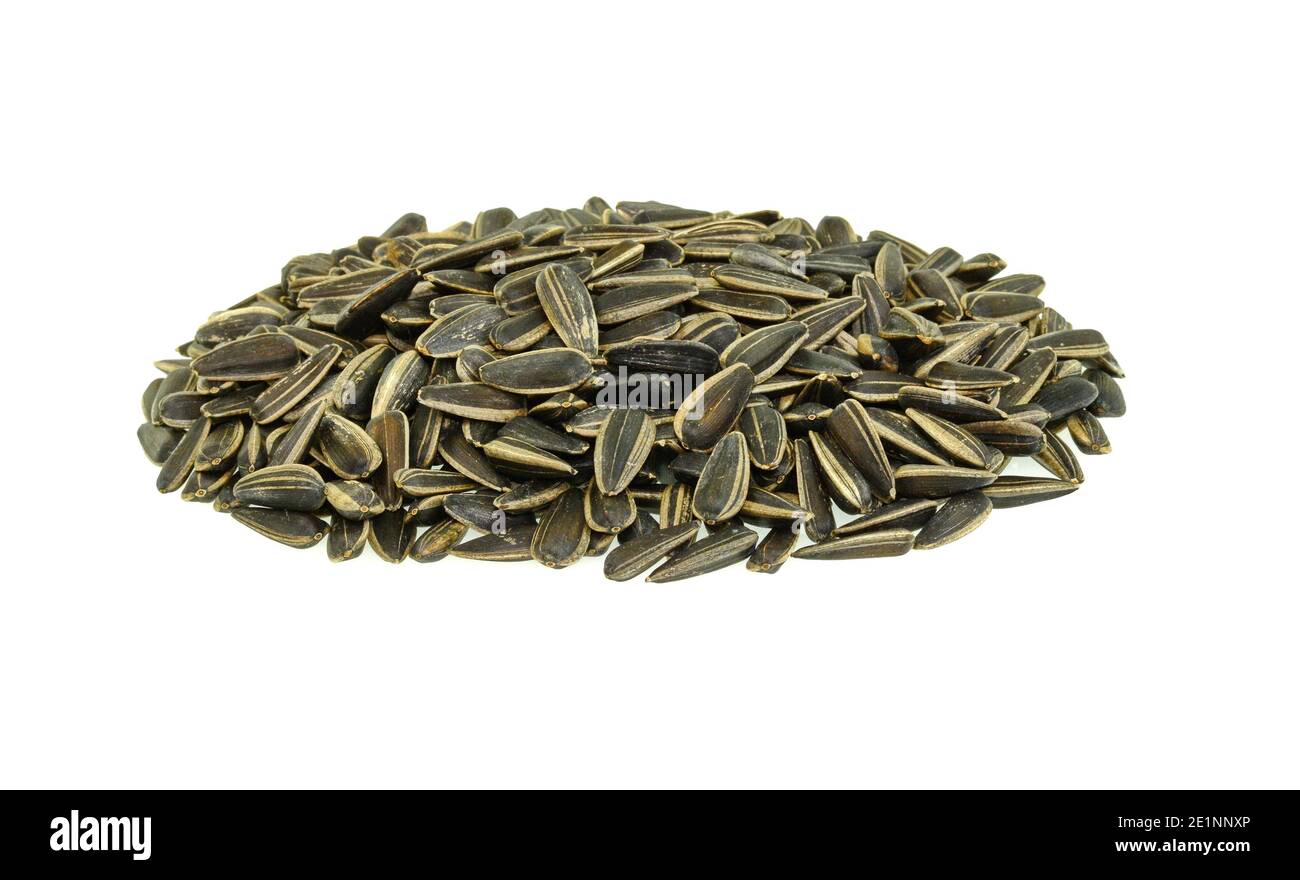 Unpeeled Sunflower seeds isolated on white background Stock Photo - Alamy