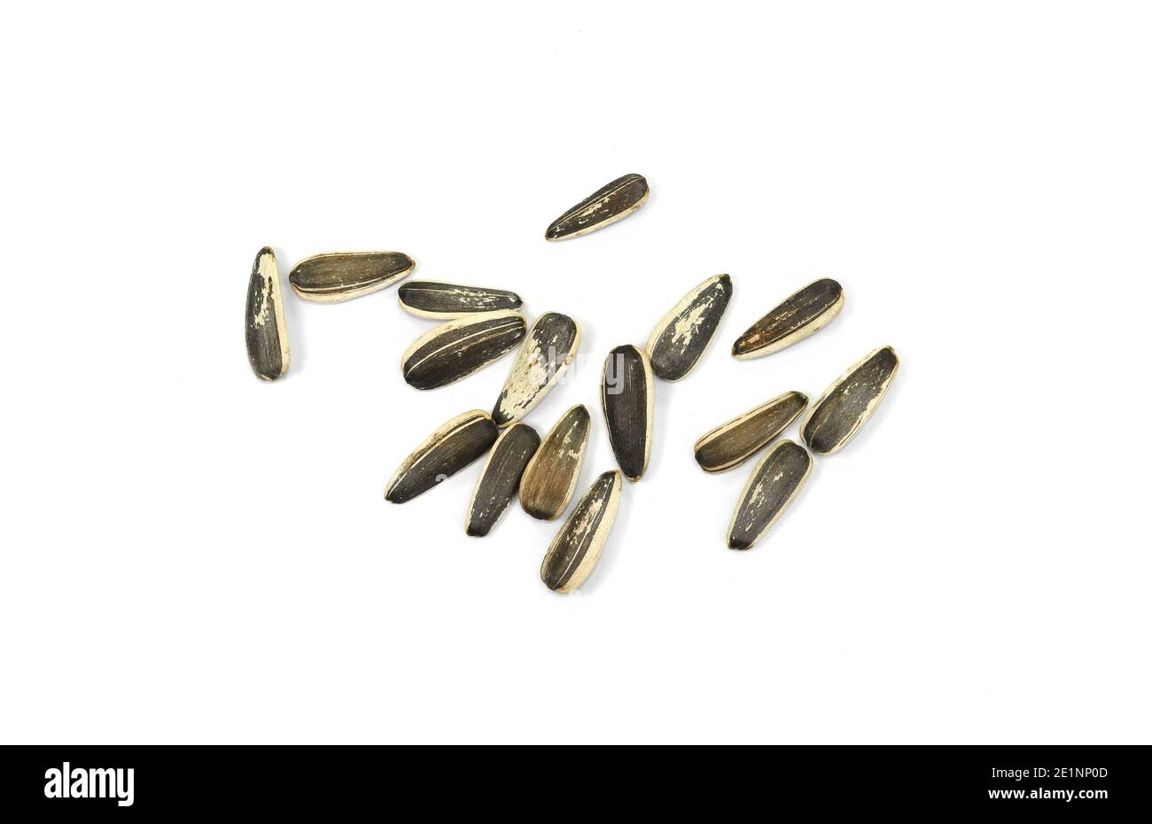 Unpeeled Sunflower seeds isolated on white background Stock Photo - Alamy
