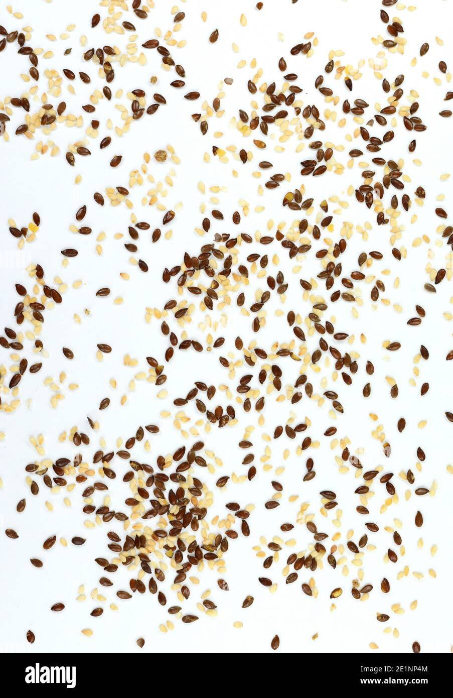 Organic Linseed or Flaxseed (Linum usitatissimum) and sesame isolated ...