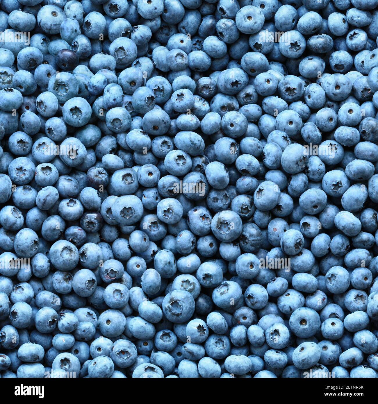 Seamless texture of blueberries on a surface top view Stock Photo - Alamy
