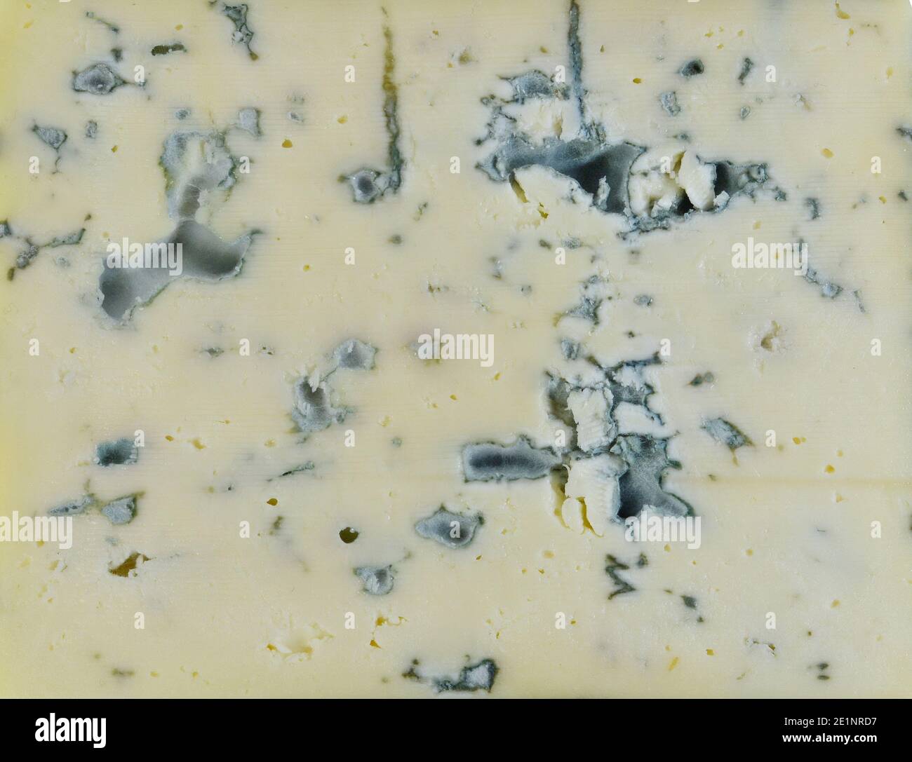 Blue cheese background Stock Photo - Alamy