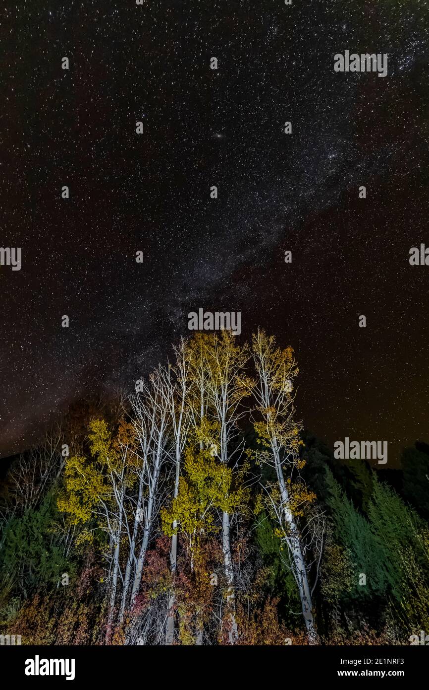 Great Basin National Park Night