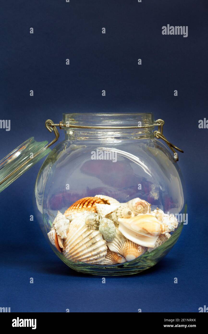 Collection of shells in a glass jar hi-res stock photography and images ...