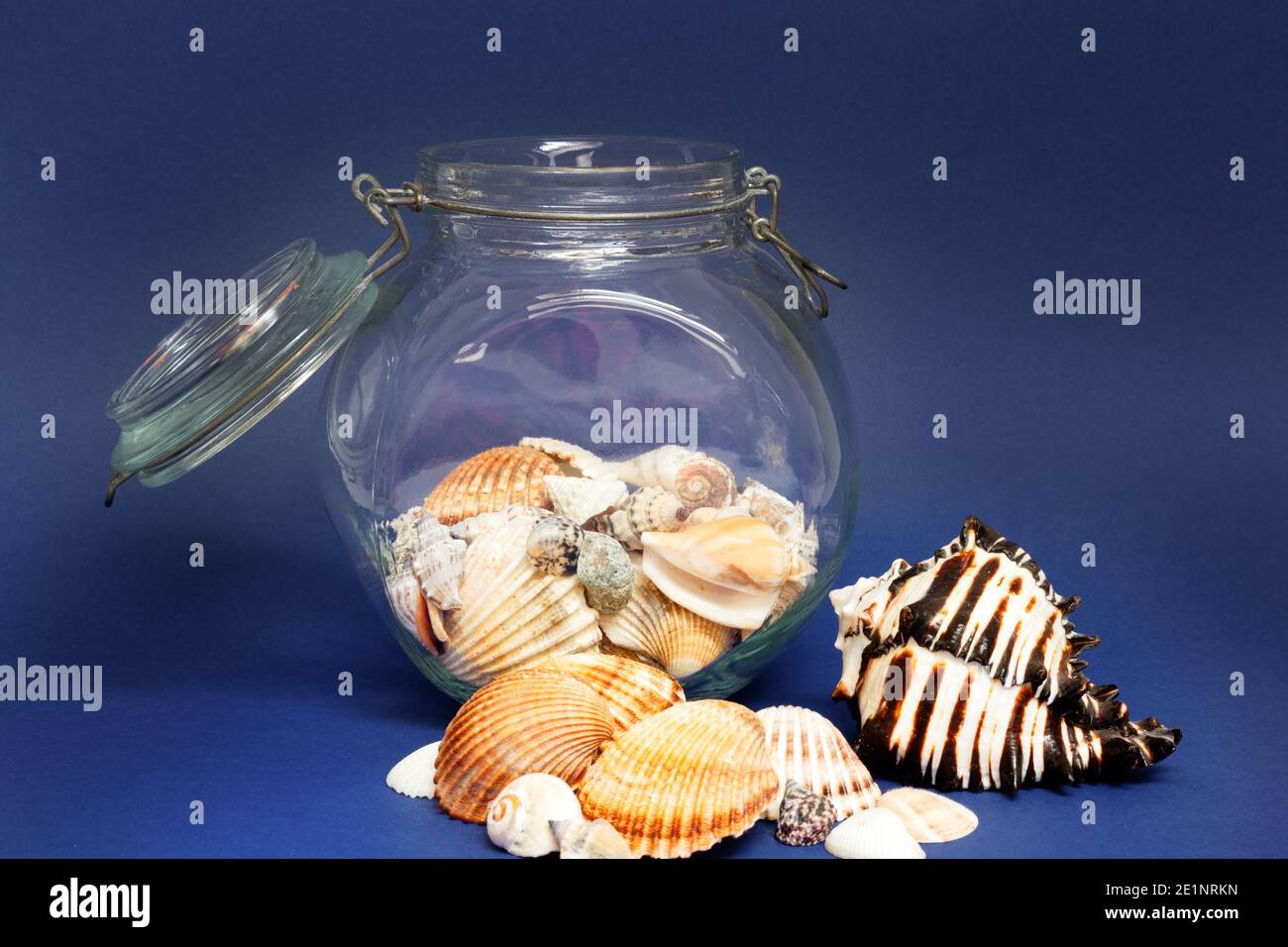 Collection of shells in a glass jar hi-res stock photography and images ...