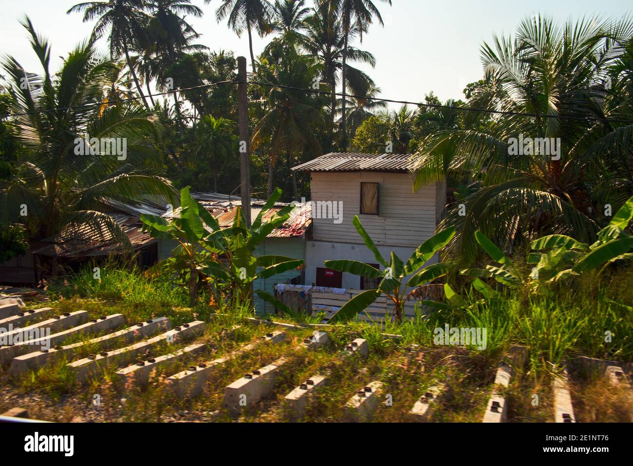 Slums next to train tracks at the poluted river of Kelani in Colombo ...