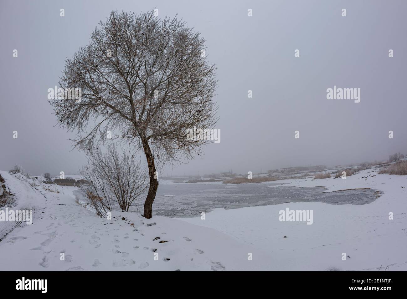 Tranquil freeze frozen hi-res stock photography and images - Alamy
