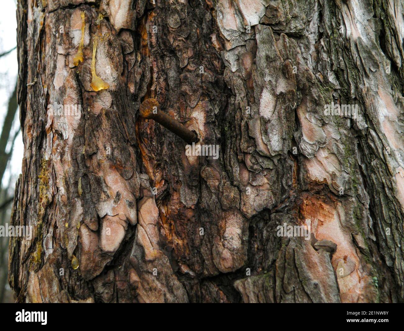 Structure something hi-res stock photography and images - Alamy