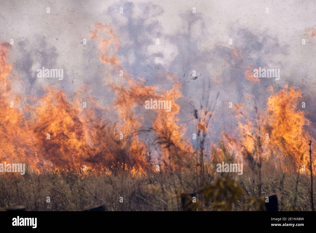 Burning farm fields hi-res stock photography and images - Alamy
