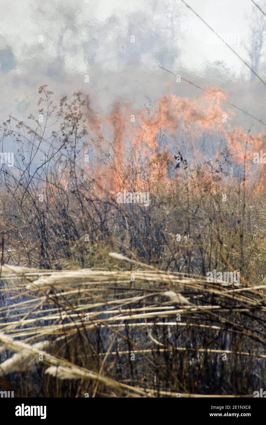 Burning Farm Fields High Resolution Stock Photography and Images - Alamy