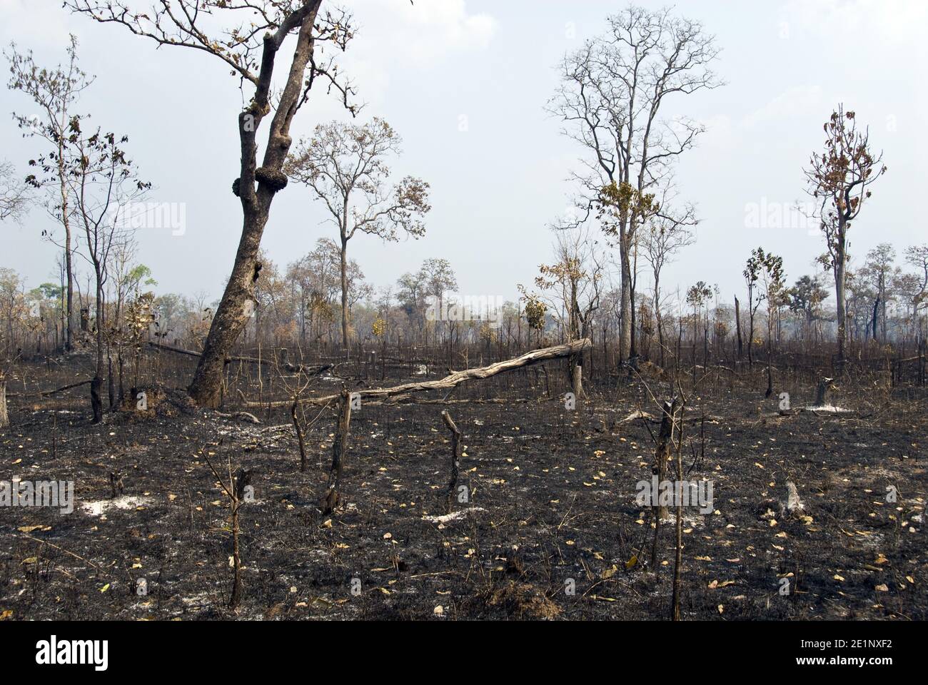 Burnt farm field hi-res stock photography and images - Alamy