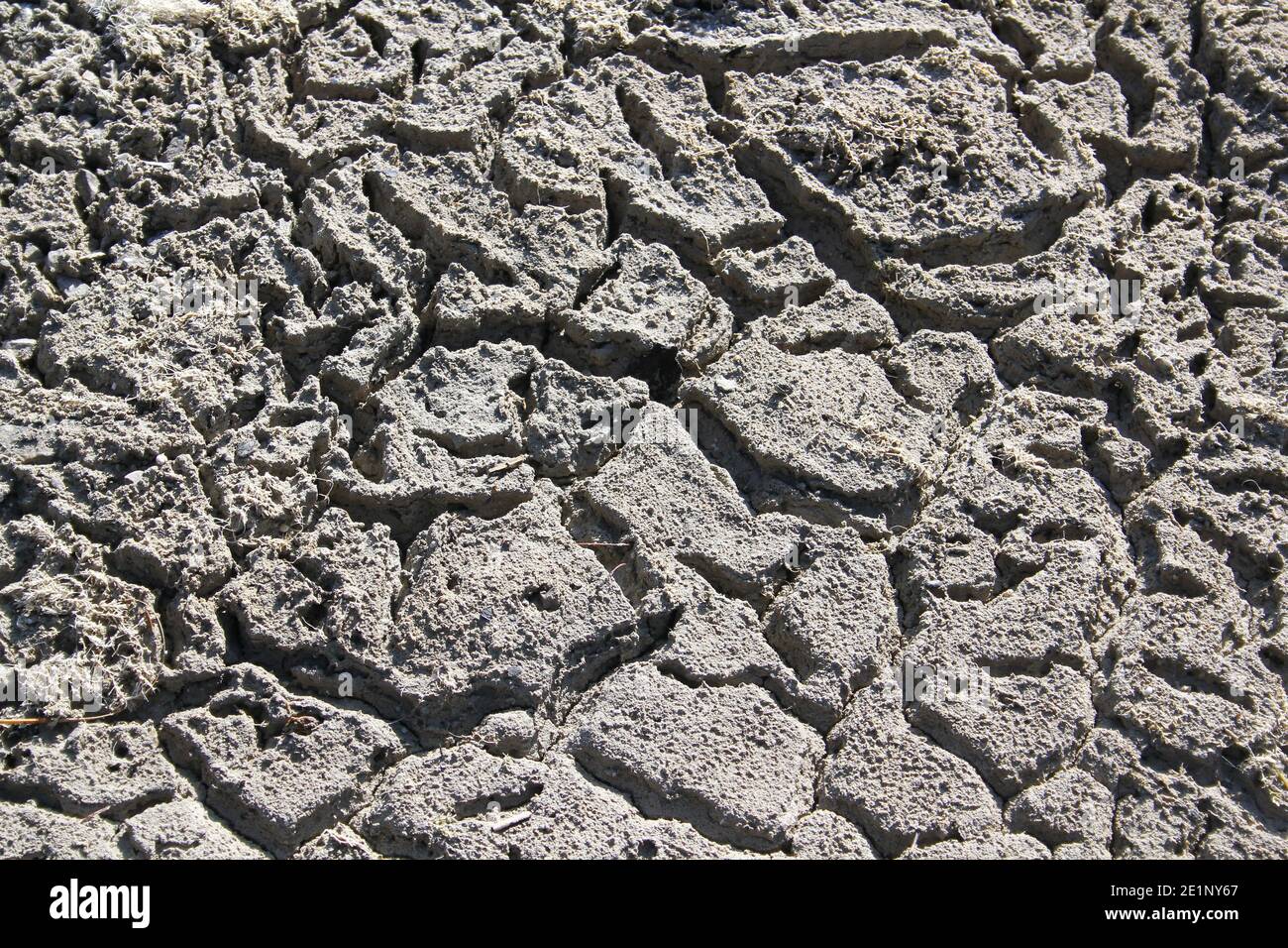 A difficult situation for growing plants Stock Photo - Alamy