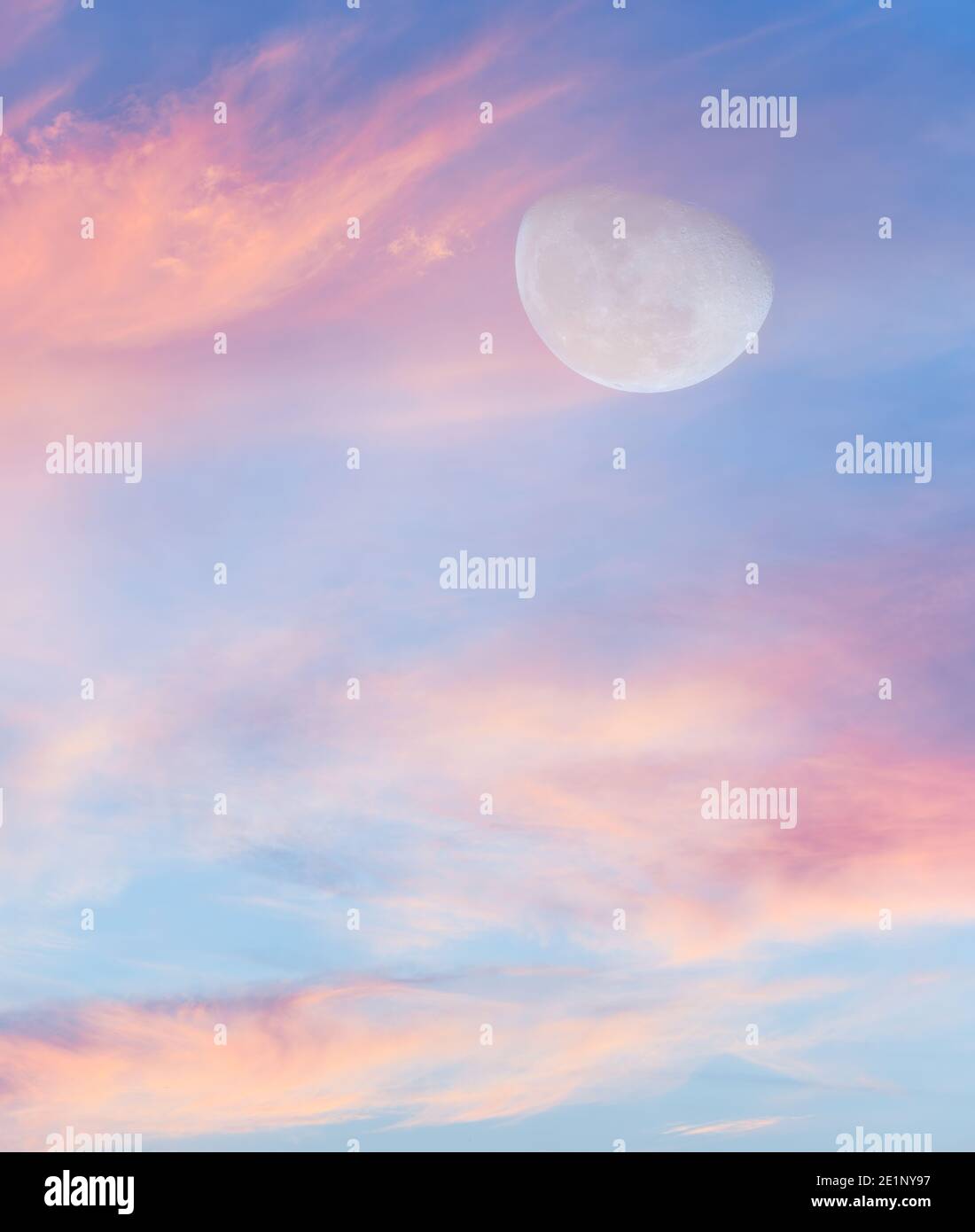 A Full Moon is Rising in a Colorful Sunset Sky in a Vertical Image ...