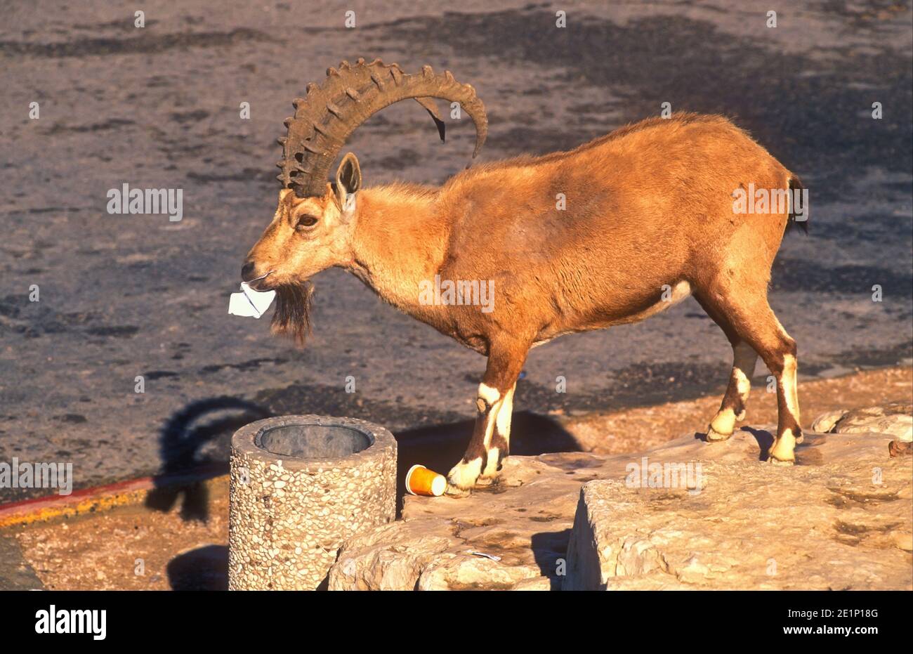 Food waste mountain hi-res stock photography and images - Alamy