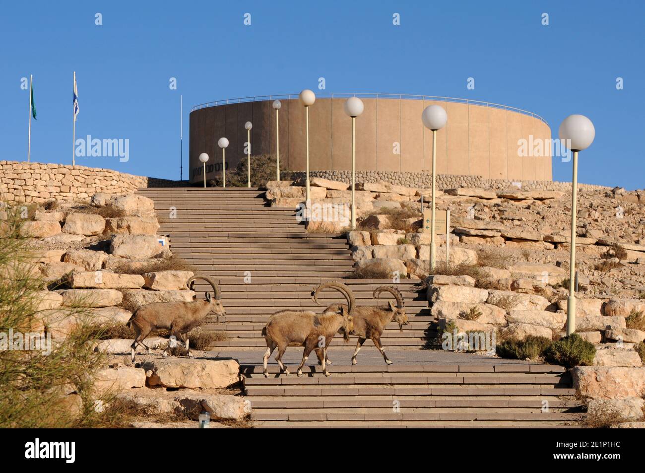 Mitzpe ramon hi-res stock photography and images - Alamy
