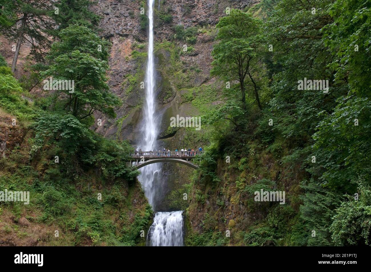 Multnomah falls, Oregon Stock Photo - Alamy