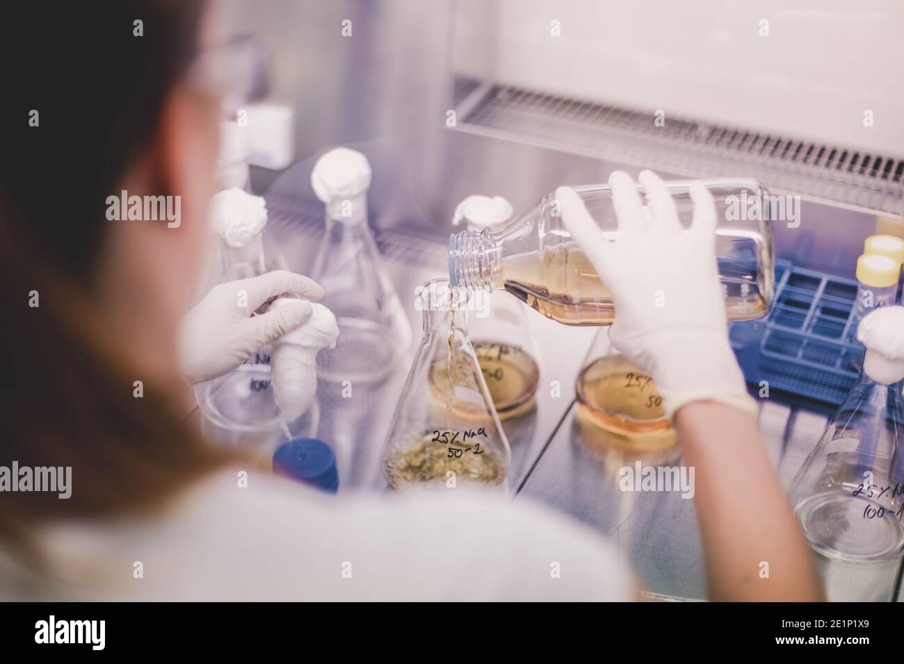 Young scientist pipetting solution Stock Photo - Alamy