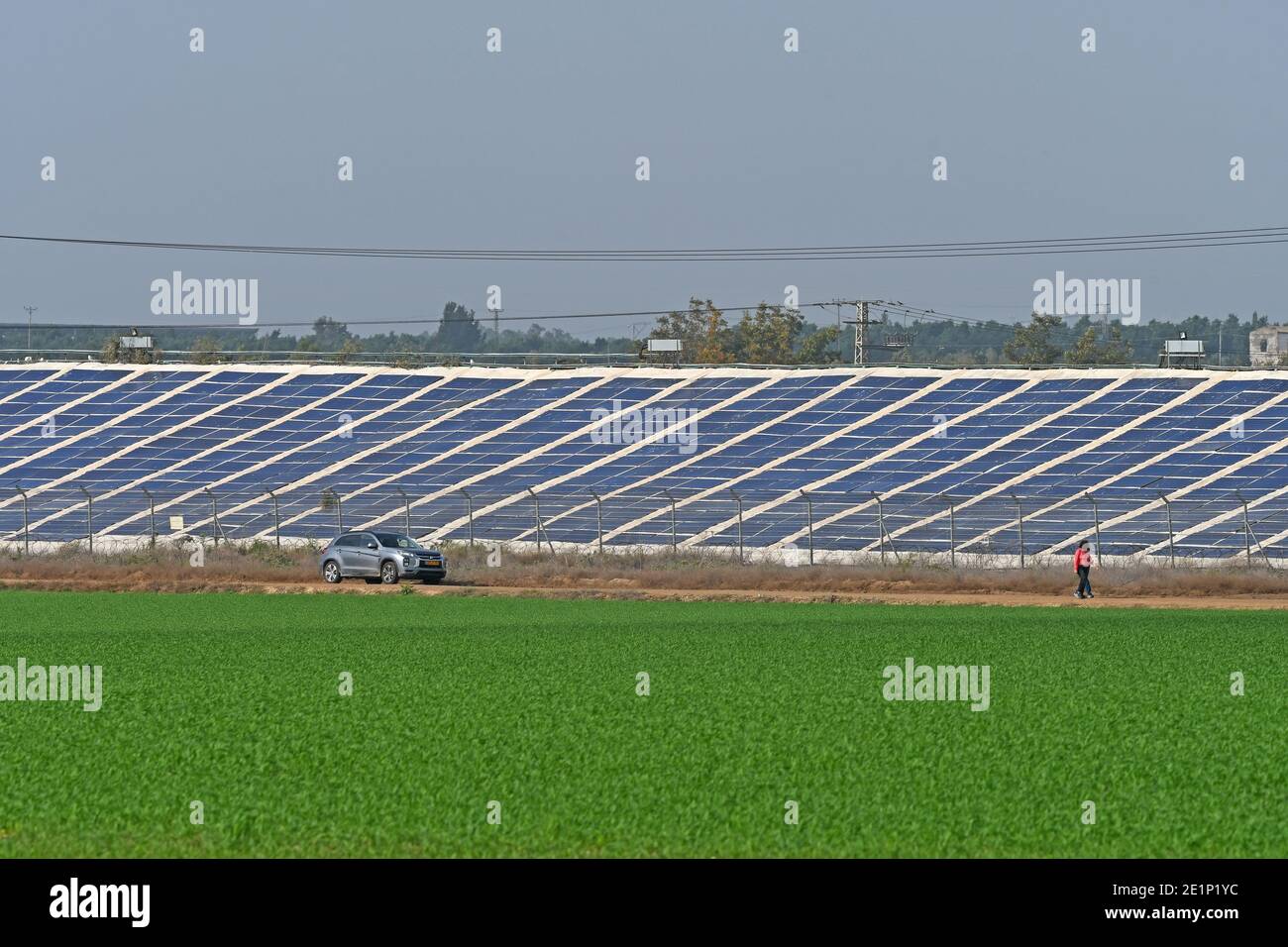 Production of boards hi-res stock photography and images - Alamy