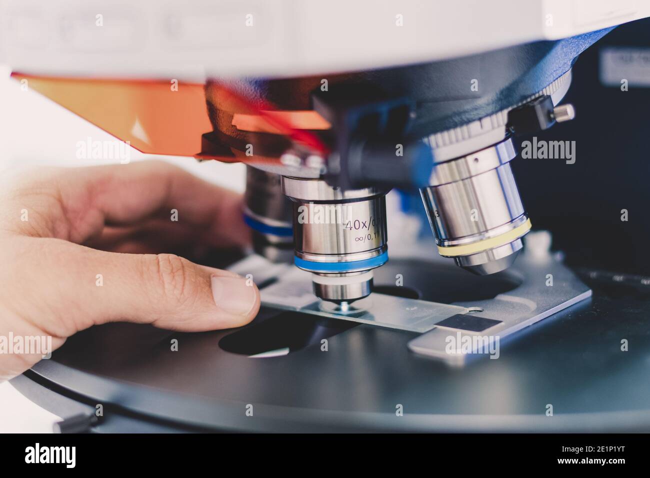 Scientist microscoping on fluorescent microscope Stock Photo - Alamy