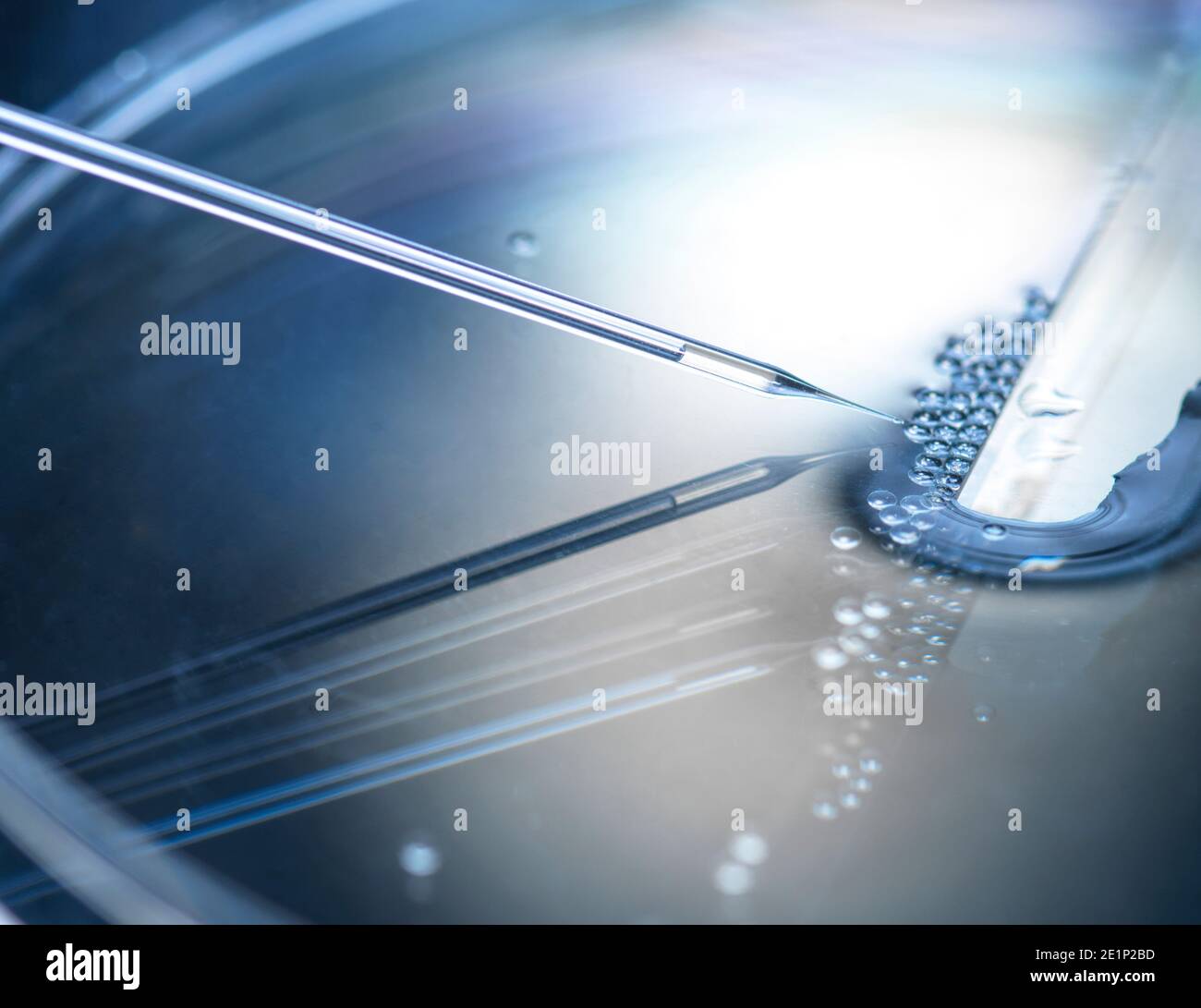 Cells biology hi-res stock photography and images - Alamy