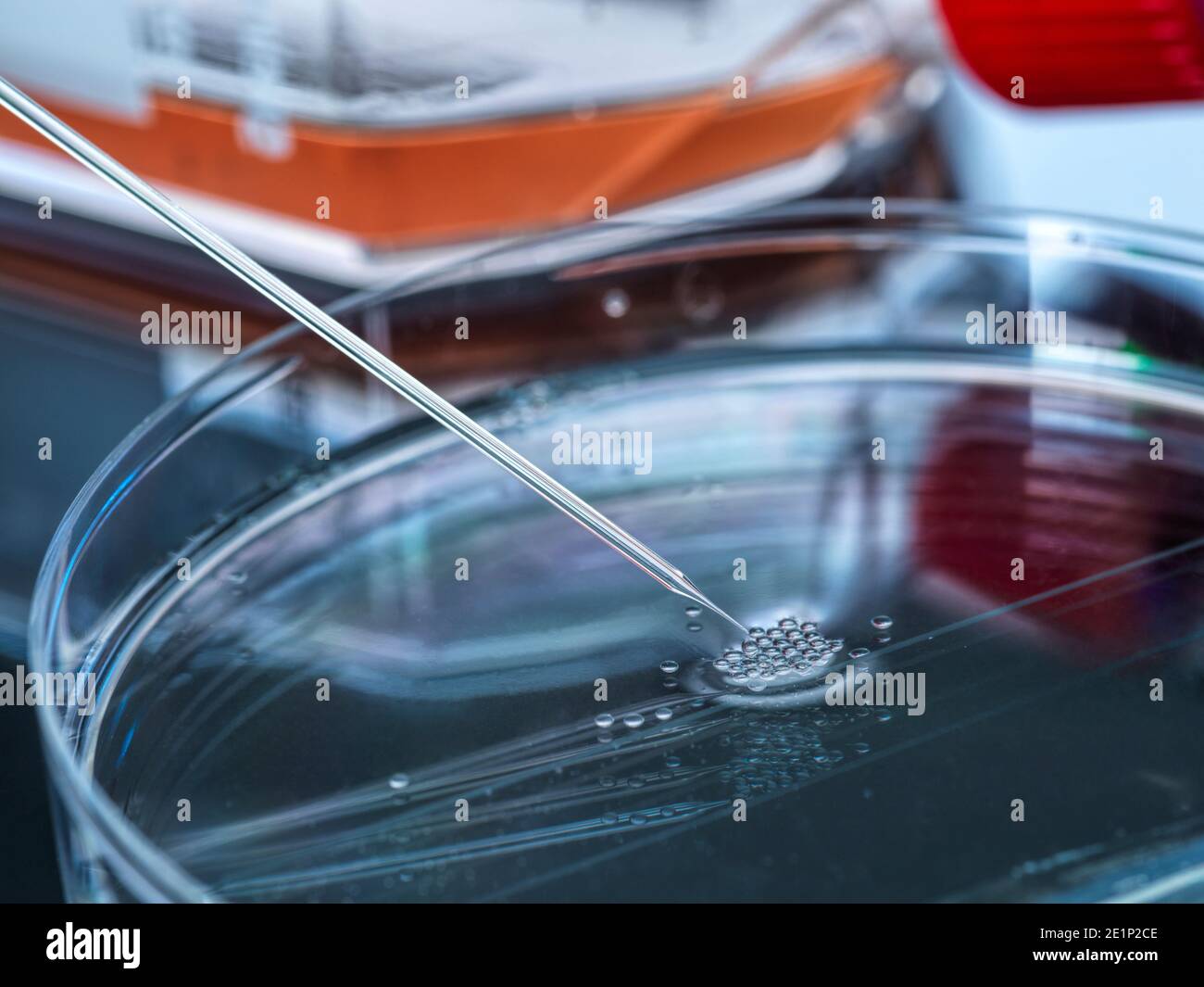 Cells biology hi-res stock photography and images - Alamy